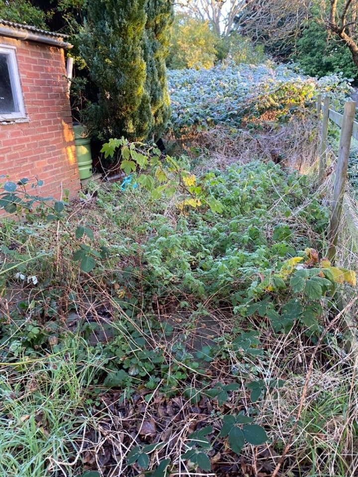 Tree Surgery and Landscaping Services in Worcester