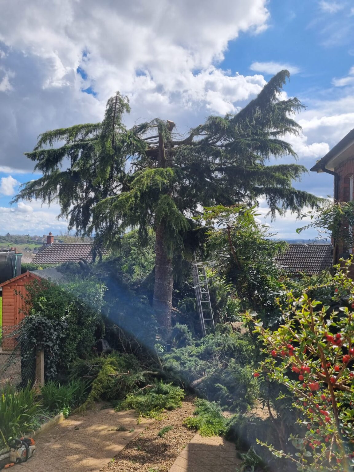 Tree Surgery Worcester | SPR Landscapes Worcester